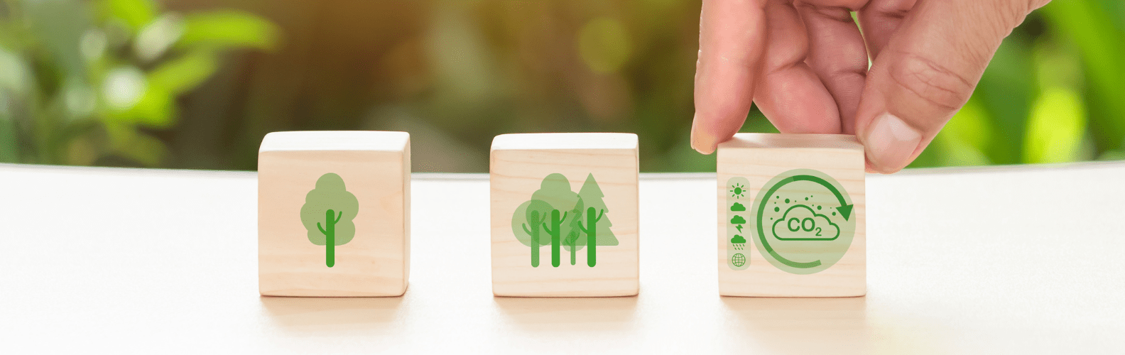 Les labels RSE : une garantie d’engagement éthique et durable pour ...